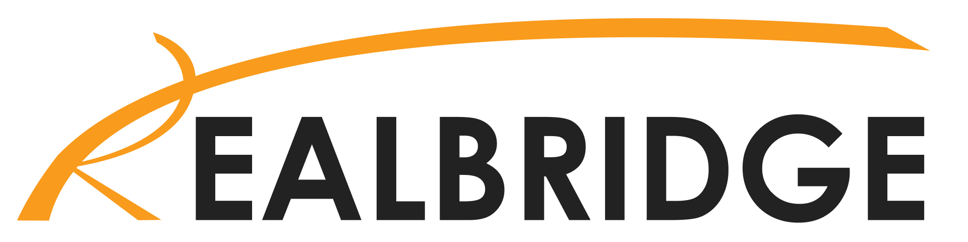REALBRIDGE – e-Marketing Solutions Pvt. Ltd.